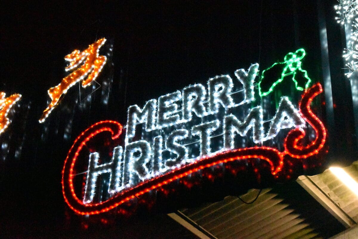 Christmas Shop - Digby Farm